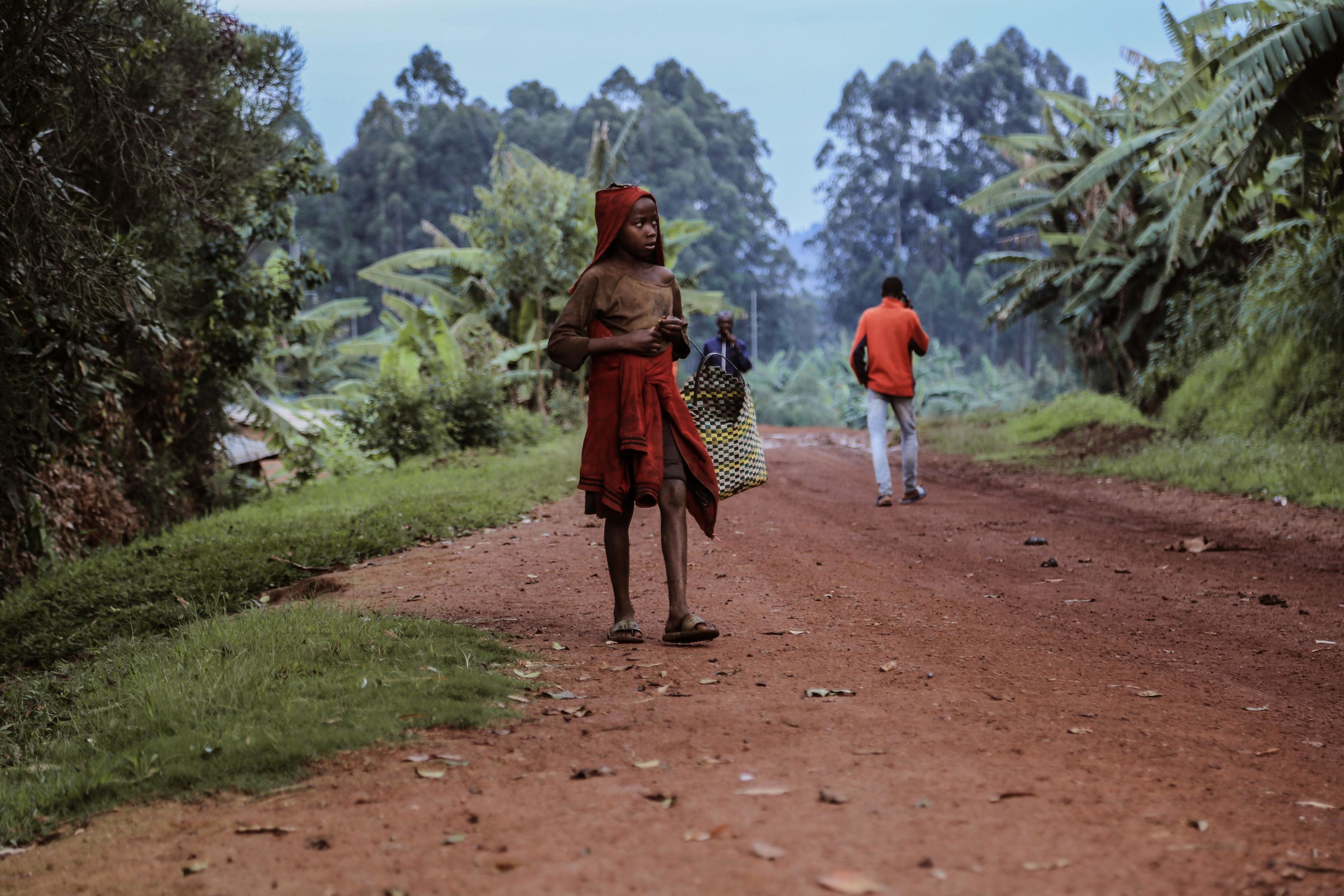 Trees for life BURUNDI