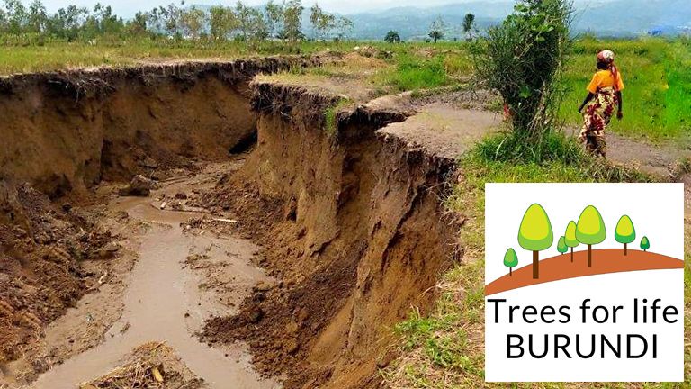 Trees for life BURUNDI